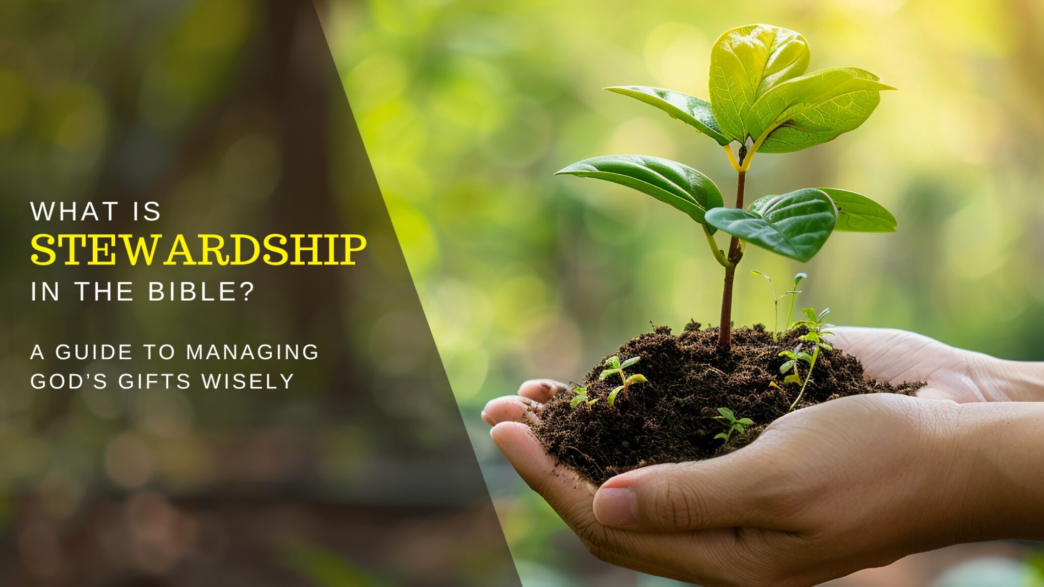 What Is Stewardship in the Bible? - Christian Debt Relief From ...
